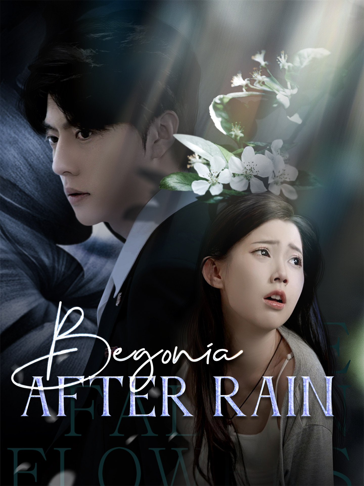 Begonia After Rain - Episode 80 Drama & Playlet Online | Watch Romance ...